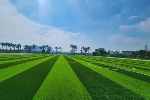 Sân bóng đá Quận Long Biên (Hà Nội): Top sân giá rẻ cho anh em phủi